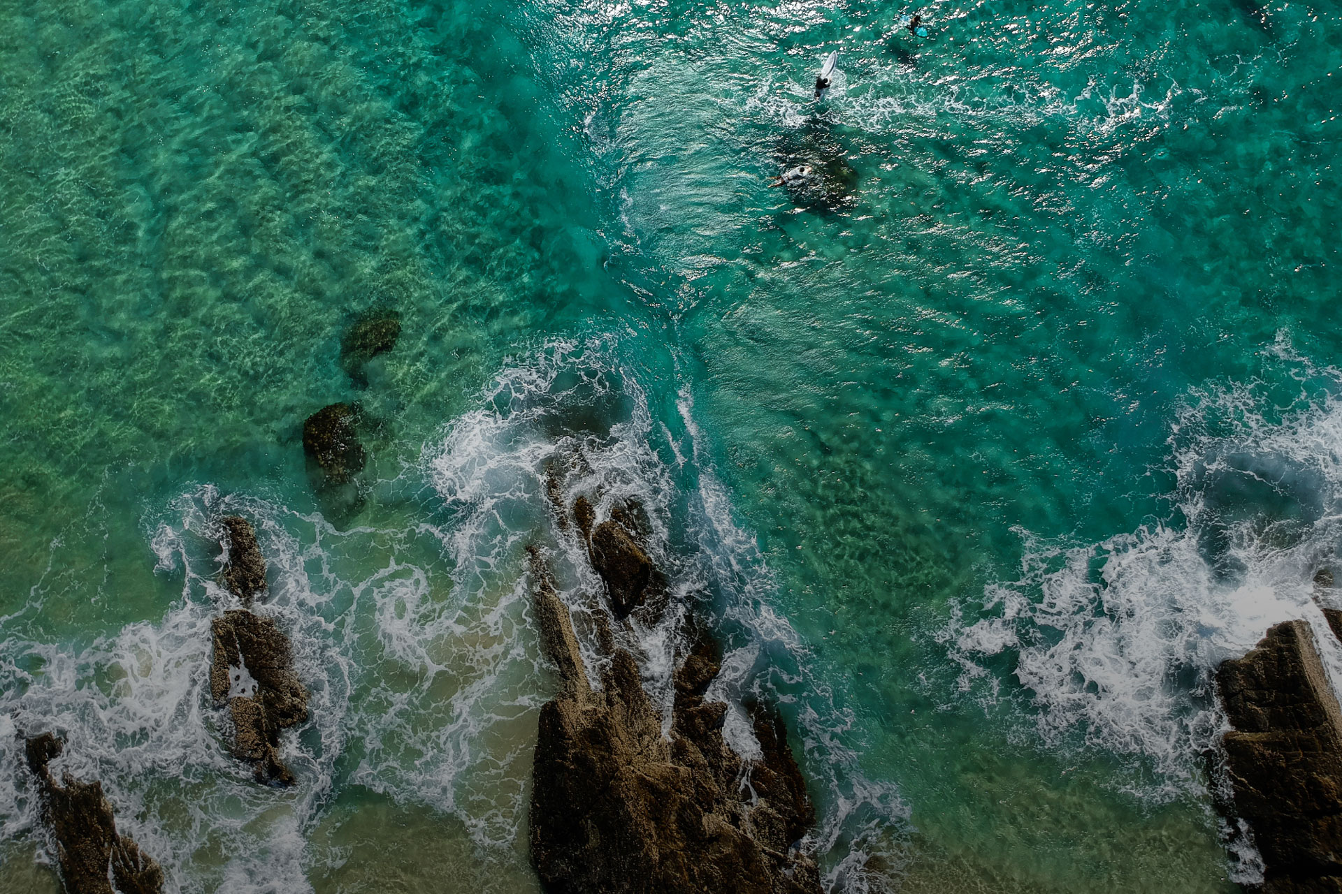 Home | Ellerston Capital