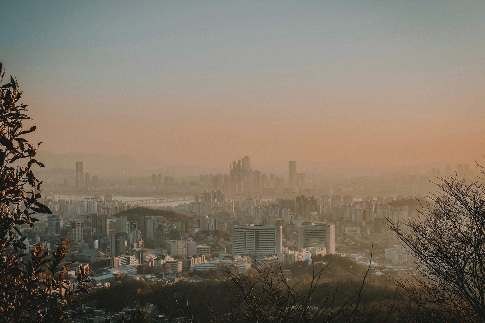 Ellerston Asia March 2020 Investment Update Recording | Ellerston Capital